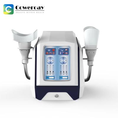 China 1000W Painless Cryolipolysis Fat Freezing Machine for Double Chin Cellulite Removal 110V 220V for sale