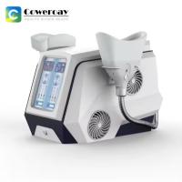 China 1000W Painless Cryolipolysis Fat Freezing Machine for Double Chin Cellulite Removal 110V 220V for sale