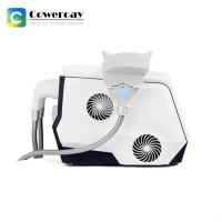 China 1000W Painless Cryolipolysis Fat Freezing Machine for Double Chin Cellulite Removal 110V 220V for sale