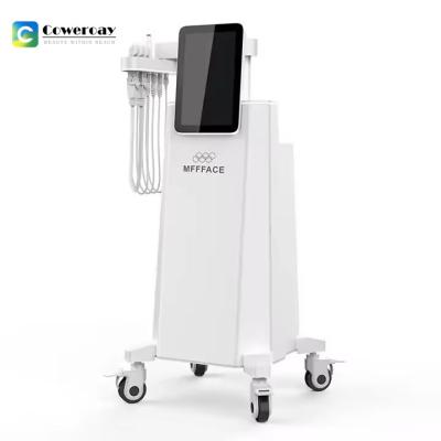 China 550W RF Skin Rejuvenation Machine HILFES Facial Wrinkle Removal Lifting Standing Device for sale
