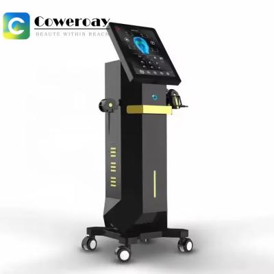 China Professional RF EMS Face Wrinkle Removal Machine 15 Inch Touch Screen 100-200W Facial Sculpting for sale