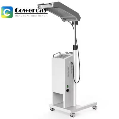 China 300W PDT LED Light Therapy Machine Skin Rejuvenation Wrinkle Removal Beauty Equipment CE 110-240V for sale