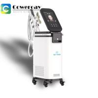 China RET Face EMS RF Facial Wrinkle Removal Machine 6 Handles 0.1-3Tesla 1M RF for sale