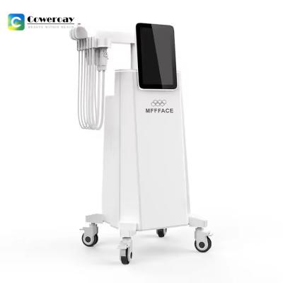 China Professional EMS EMT RF Face Lifting Machine 550W Non-Invasive Wrinkle Removal Skin Tightening for sale