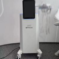 China Professional EMS EMT RF Face Lifting Machine 550W Non-Invasive Wrinkle Removal Skin Tightening for sale