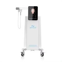 China High Frequency Ems Electrical Face Muscle Stimulator Facial Lifting Machine for sale