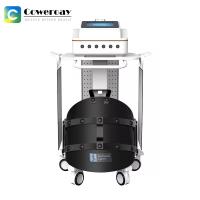 China 5D Lipo Laser Slimming Machine 635nm 940nm Infrared Red Light Therapy Body Sculpting for sale