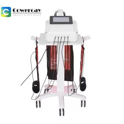 China 5D Maxlipo Dual Wavelength Laser Slimming Machine 650nm 940nm 1086 LEDs Pain Therapy for sale
