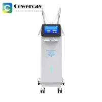 China Lumewave Master Radio Frequency 27.13MHz Fat Removal Skin Tightening Machine 450W for sale