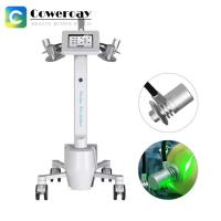 China 6D Red Light Laser 532nm 300W Weight Loss Beauty Machine for Fat Reduction for sale