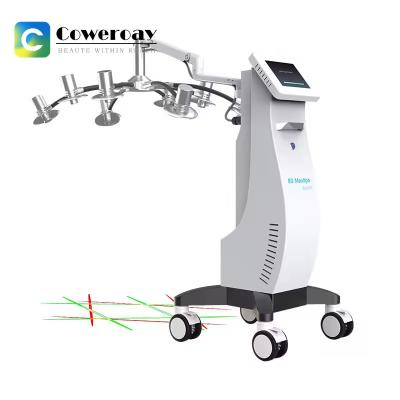 China 8D Laser Slimming Equipment 532nm 635nm Green Red Light Body Shaping Machine 600W for sale