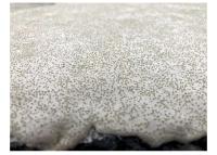 China Colorless Round Clear Pavement Reflective Glass Beads for sale