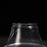 China Lightweight Dome Or Flat Lid Plastic PET Cups Disposable Party Cups For Boba Tea for sale