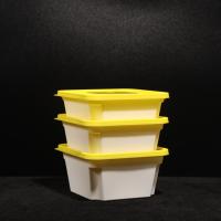 China Leak Proof 450ml PP Lunch Box Sandwich Hot Dog Salad Lunch Box Custom Color for sale
