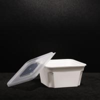 China Hot And Cold Food PP Lunch Box Takeaway Boxes Plastic Custom Capacity for sale