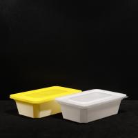 China 650ml PP Lunch Box Leak Proof For Food Storage For Outdoor Picnic for sale