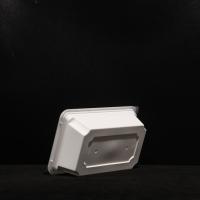 China Customized Color Polypropylene Lunch Box Disposable Sandwich Boxes For Snack And Fruit for sale