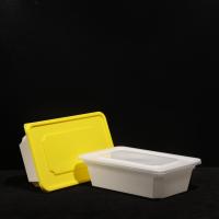 China Customized Color Polypropylene Lunch Box Disposable Sandwich Boxes For Snack And Fruit for sale