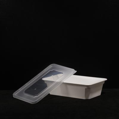 China PP Sandwich Packaging Box Lunch Box Customized Printing For Hot And Cold Food for sale