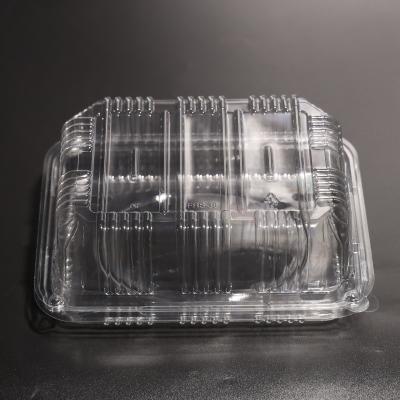 China Customized Color PET Plastic Food Box Plastic Freezer Containers With Lid for sale