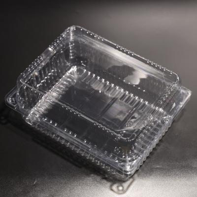 China Custom Capacity Rectangular Plastic Food Box PET Disposable Food Packaging Box for sale