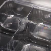 China 39g Capacity Disposable Clear Plastic Round Takeaway Food Containers with Lids for sale