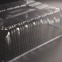 China Customized Logo Disposable Plastic Food Trays PET Packaging Container for sale