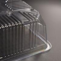 China OEM/ODM Rectangular Disposable BPA Free Plastic Food Tray For Takeaway Food for sale