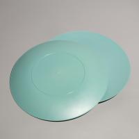 China Customized Logo BPA Free Plastic Food Tray for sale