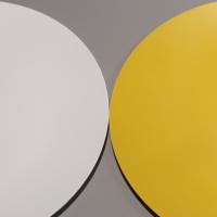 China Customized Logo Plastic Food Plate Eco Friendly Multipurpose Plastic Food Tray for sale