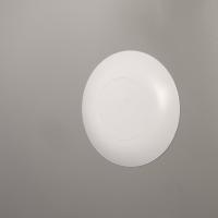 China OEM Color Plastic Food Plate Disposable Food Safe Plastic Trays Round Shape for sale