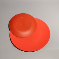 China Customized Logo Food Grade Plate Plastic Food Tray Recyclable And Environmentally Friendly for sale