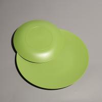 China Customized Logo Plastic Food Tray Multi Purpose Disposable Party Trays SGS FDA for sale