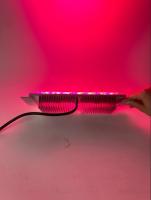 China LED Grow Light Module 30W 50W RGB Colorful Outdoor Garden Spot Lights for sale
