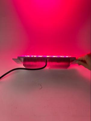 China LED Grow Light Module 30W 50W RGB Colorful Outdoor Garden Spot Lights for sale