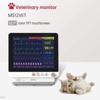 China 12-inch Touch Veterinary Ultrasound Scanner with 2000mAh Battery for Dog Pregnancy Examination and Animal Monitoring for sale