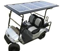 China 120W Flexible Custom Solar Panel Sunpower Solar Cell For Golf Cart Roof for sale