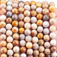 China Natural Chrysanthemum Stone Round Beads 4-12mm Loose Strands for DIY Jewelry Making for sale