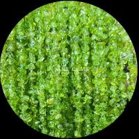 China Natural Crystal Gemstone Irregular Shape Chip Gravel Stone Loose Bead Strands 3-5mm 5-8mm 8-12mm for Bracelets for sale
