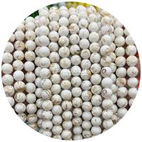 China Wholesale Shell Turquoise Loose Beads 8mm Multicolor Round Stone Beads for Jewelry Making for sale