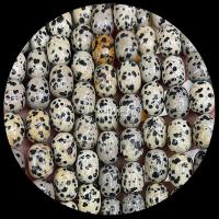 China Natural Dalmatian Jasper Barrel Shape Loose Bead Strands 8x12mm for Jewelry Making for sale