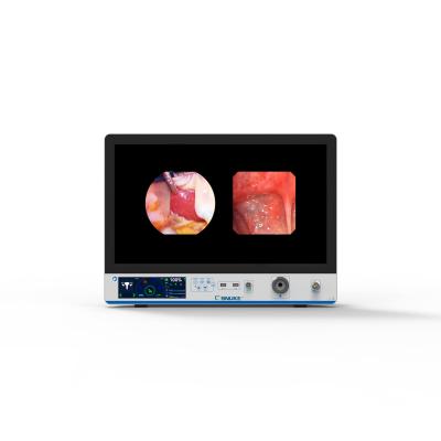 China SONY CMOS Endoscopy System 2600lumens 4K Endoscope Camera for sale