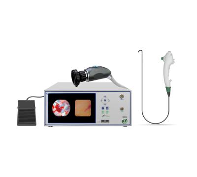 China LN-P101LC Integrated Hybrid Endoscope System 10.1 Inch Touchscreen 1080P Surgical Imaging Platform for sale