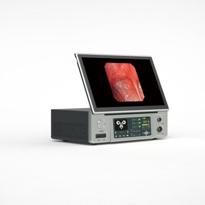 China 4K 60FPS Integrated Endoscopy System LN-C135LH with 240GB Storage for Medical Imaging for sale