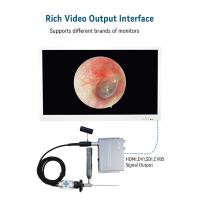 China 1080P 60FPS Endoscope Camera System HDMI SDI DVI CVBS Freeze Zoom for Hospital Veterinary Use for sale
