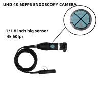 China 4K Medical Endoscope Camera SDI HDMI Dual Output 12V for Minimally Invasive Surgery Human Veterinary for sale