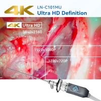 China 4K 2 in 1 Video Camera System LN C101MU Medical Endoscopy Camera with Light Source Multi Interface Output for sale