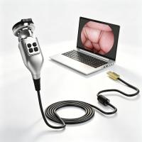 China See the ENT Exam Differently. 4K Clarity, Pocket-Sized, Plug and Go.  The LN-S355 is the 200g USB endoscope that turns any PC into a full ENT inspection station — no light source, no video processor for sale