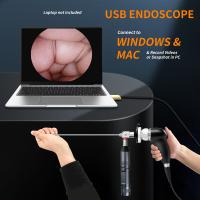 China LN-S354 Portable USB Endoscope Camera .Professional-Grade Imaging. Consumer-Level Simplicity. for sale