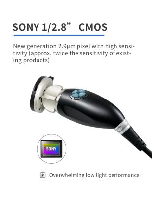 China USB Handheld ENT Endoscope 1080P HD | Sony CMOS, Quasi-Professional Imaging | Model LN-S353 for sale